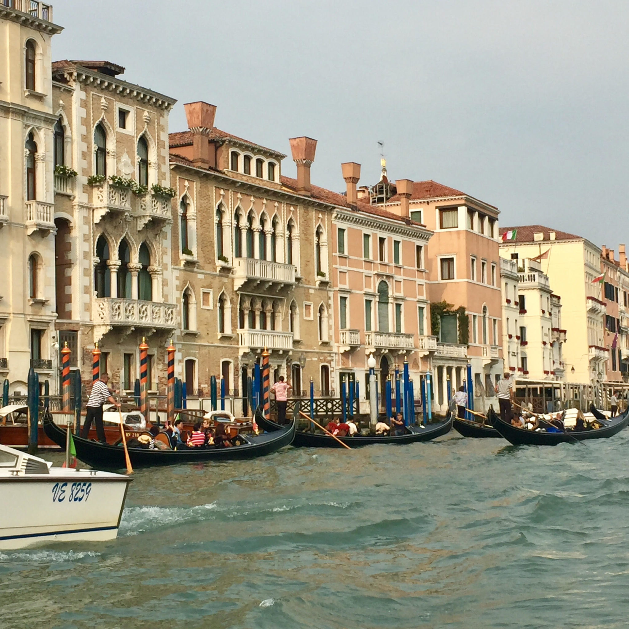 Cathy Maday | Wingspan Performance